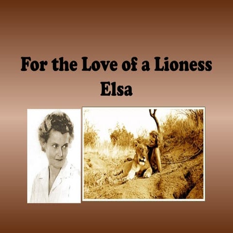 Love of the Wild | PPS