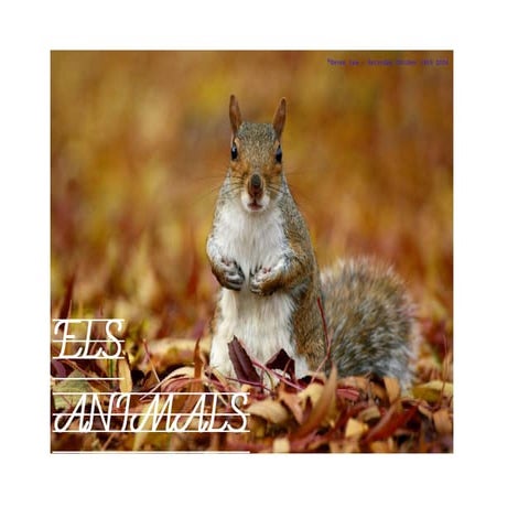 Els animals | PDF