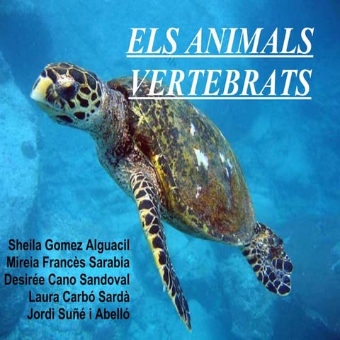 Els animals | PPT