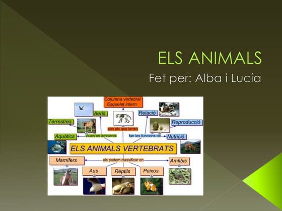 Artropodes-Com-identificar-los.pdf medi 4t primària | PPT