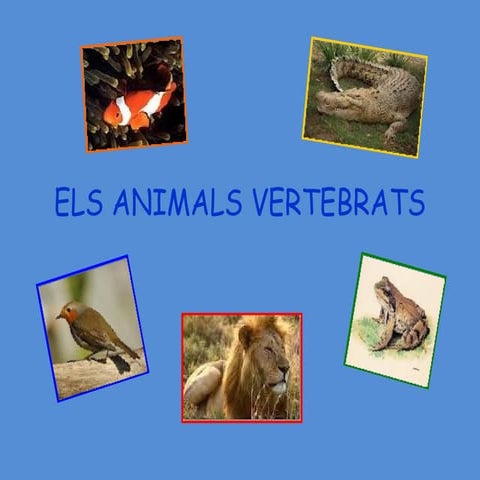 Els animals vertebrats | PPT