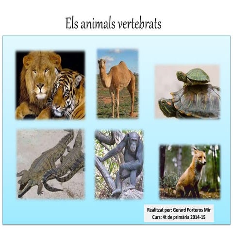 Els animals vertebrats | PPTX