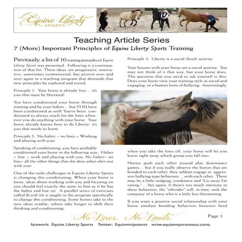 Horse riding lesson plans | PPTX