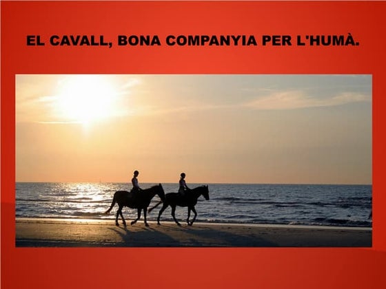 El cavall | PPT