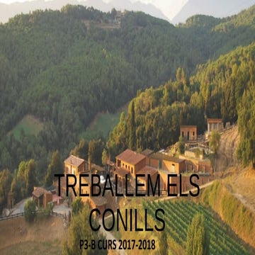 Els conills | PPT