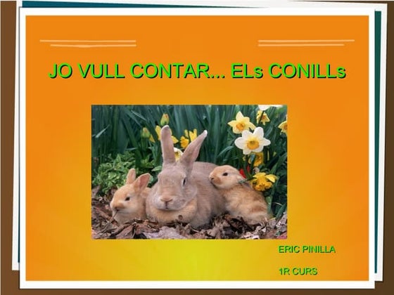 Investigació del conill | PPT