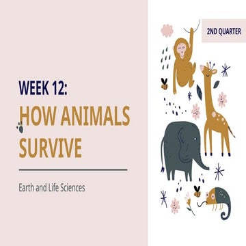 ELSC Week 12 How animals survive on Earth?.pptx