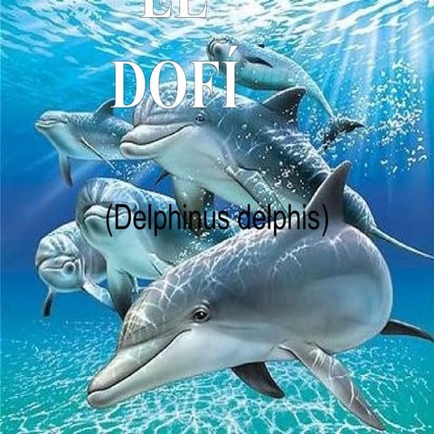 Els Dofins | ODP