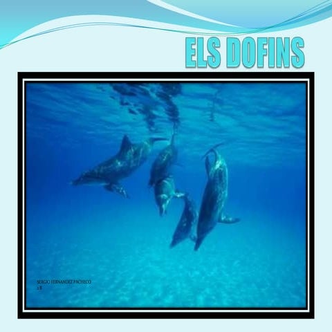 Els dofins | PPTX