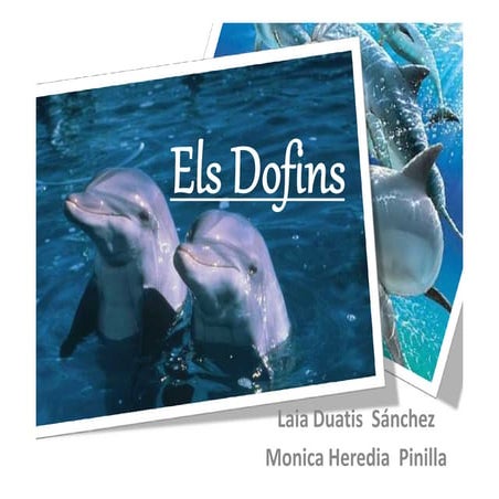 Els dofins | PDF