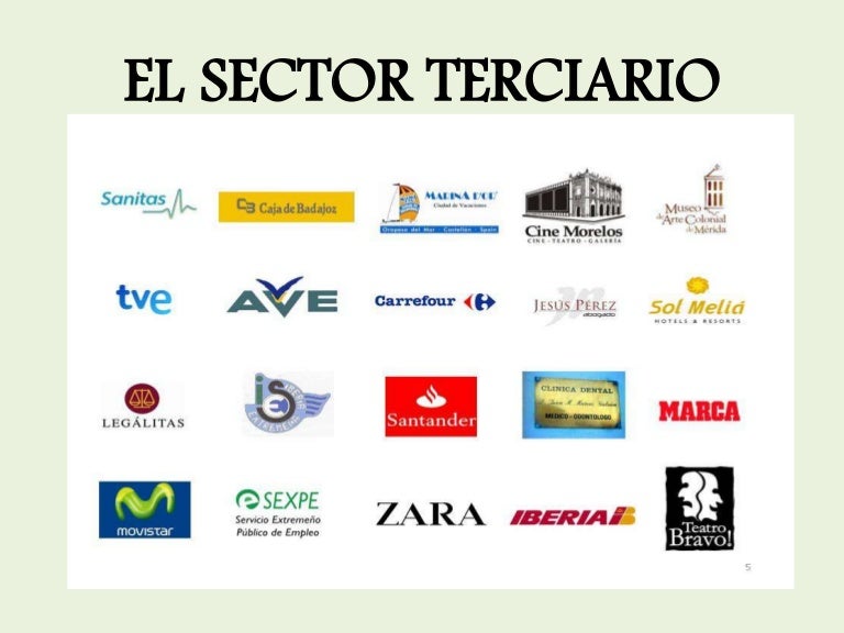 El sector terciario
