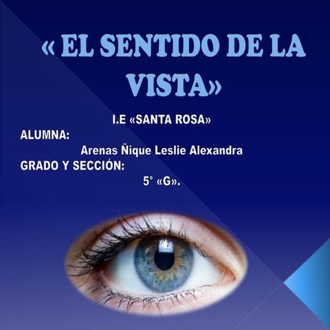 El sentido de la vista» | PPTX