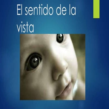 243328305-SENTIDO-DE-LA-VISTA -pptx.pptx