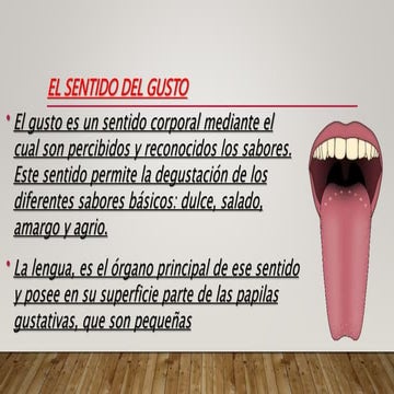 EL SENTIDO DEL GUSTO.pptx