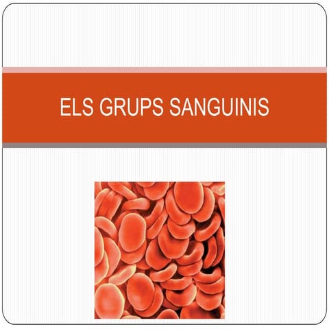 Els grups sanguinis | PPTX