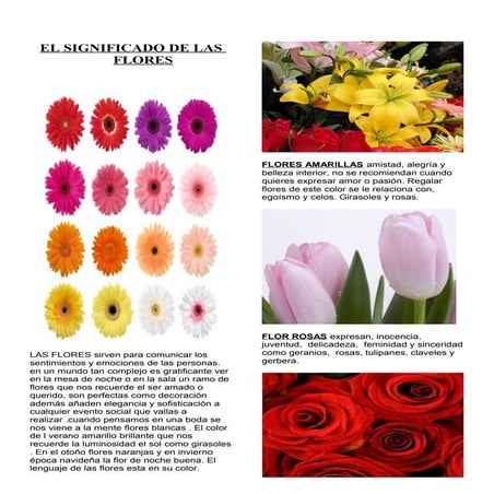 El significado de las flores | DOC
