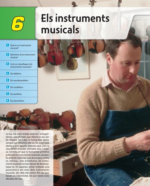 INSTRUMENTS DE PERCUSSIÓ | PPTX