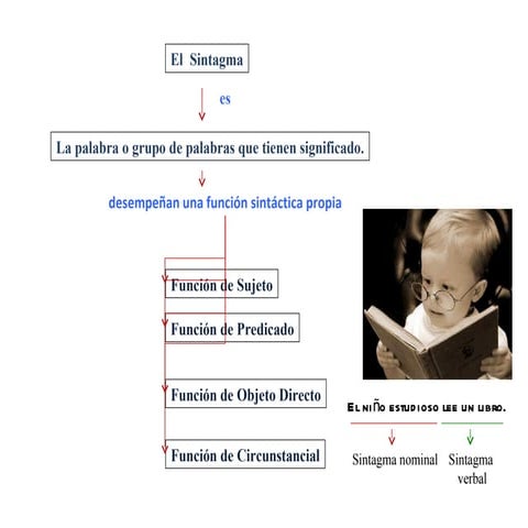 El sintagma nominal | PDF