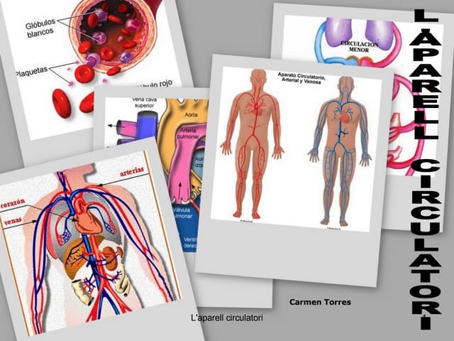 Tasca 6.el funcionament del cor | PDF