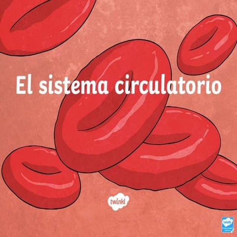 Sistema Circulatorio | PPT
