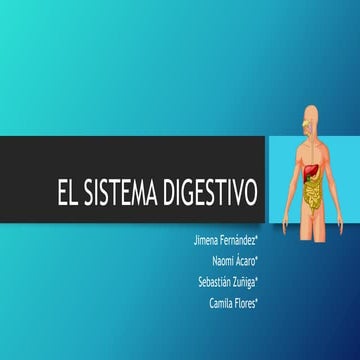 El sistema digestivo humano presentación en PowerPoint | PPTX
