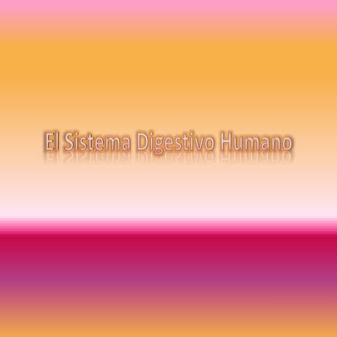 El sistema digestivo humano | PPTX