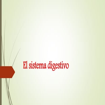 El sistema digestivo powerpoint.pptm