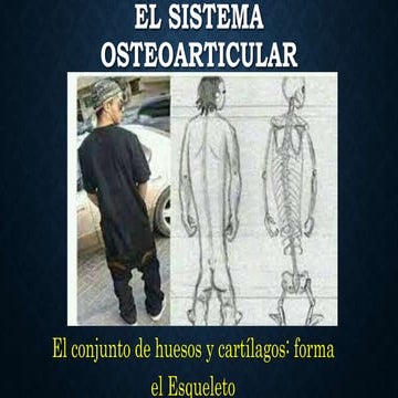 El sistema osteoarticulaR.pptx