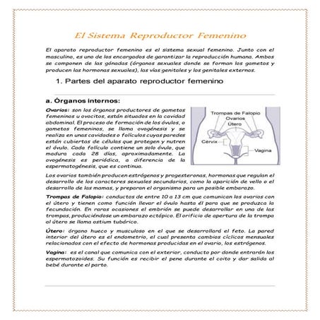El Sistema Reproductor femenino y los organos que lo componen. | PPTX