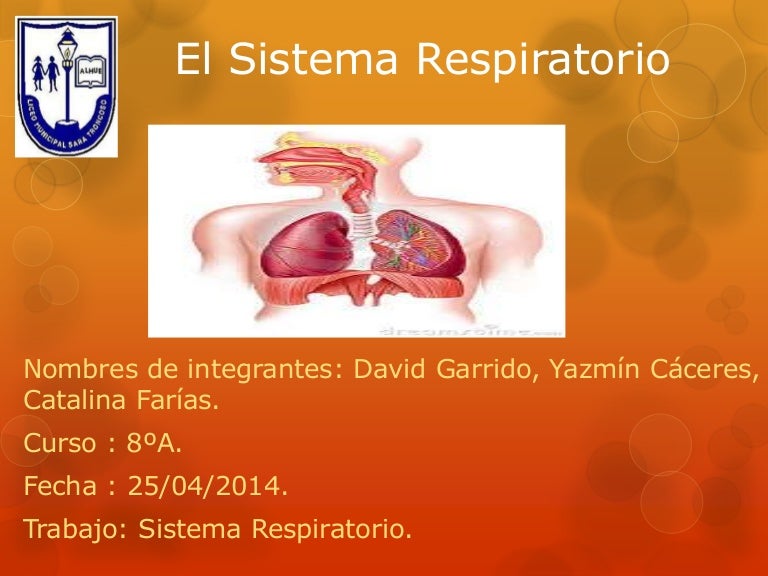 El Sistema Respiratorio Principales Caractersticas