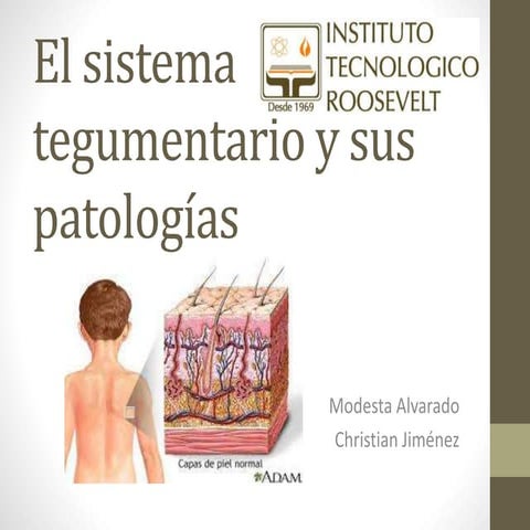 El Sistema Tegumentario Y Sus Patologas