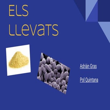 Els llevats | PPTX