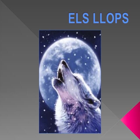 Els llops | PPTX