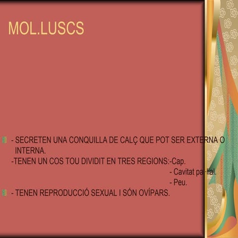 Els mol·luscs | PPT
