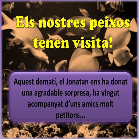 Orla definitiva | PPTX