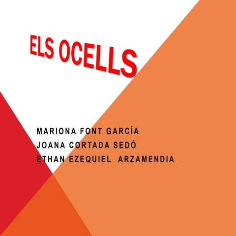 Els ocells | PPTX