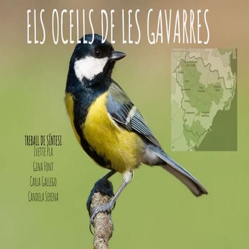 Els ocells de les Gavarres | PPTX