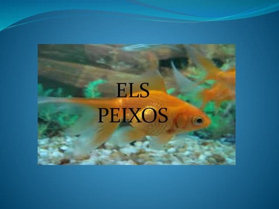 Peixos | PPTX