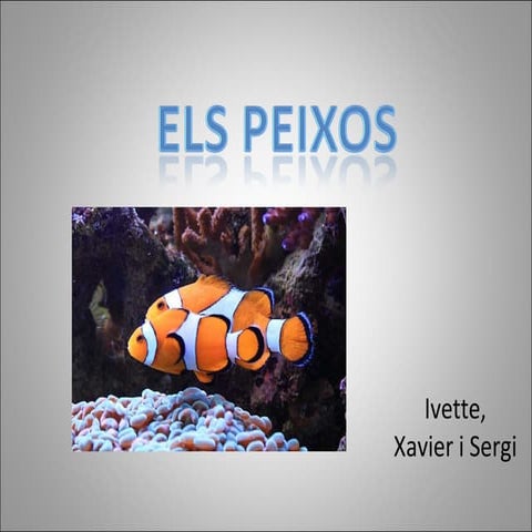 Peixos | PPT