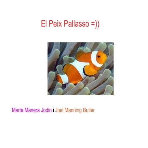 Els peixos pallasos | ODP