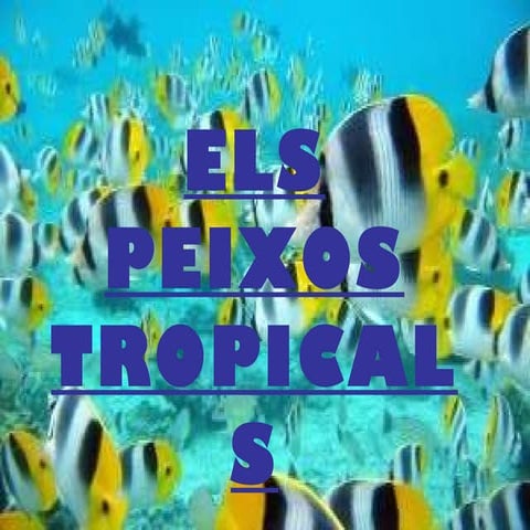 Els peixos tropicals | PPT