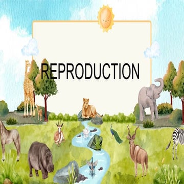 Animal Reproductioniandidnsdicnsidnicjsnxkandicn | PPTX
