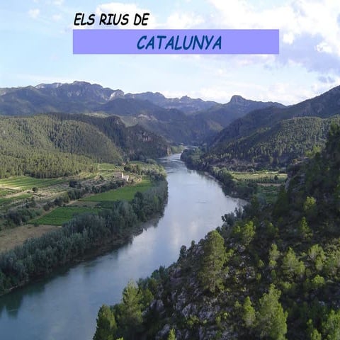 Els rius maria | ODP