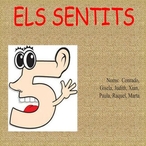 ELS_ORGANS_DELS_SENTITS_ 3ESO- BioGeo.pptx.ppt.pptx