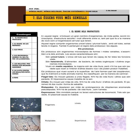 Esquema dels 5 regnes | DOCX