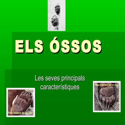 Els óssos | PPT