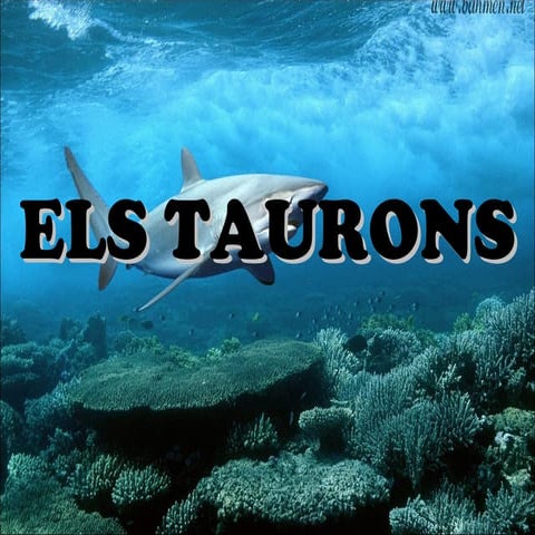 Els taurons | PPT