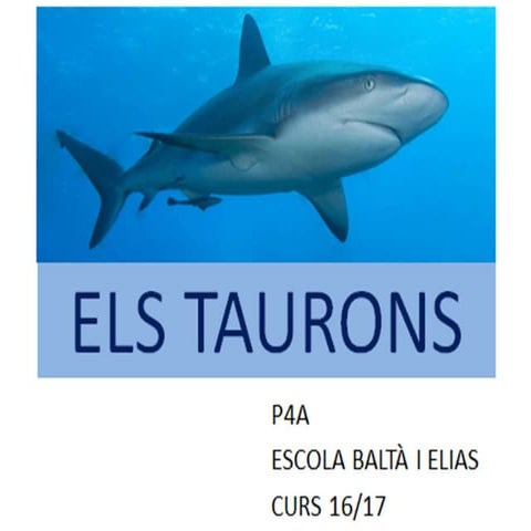 Els taurons | PPTX