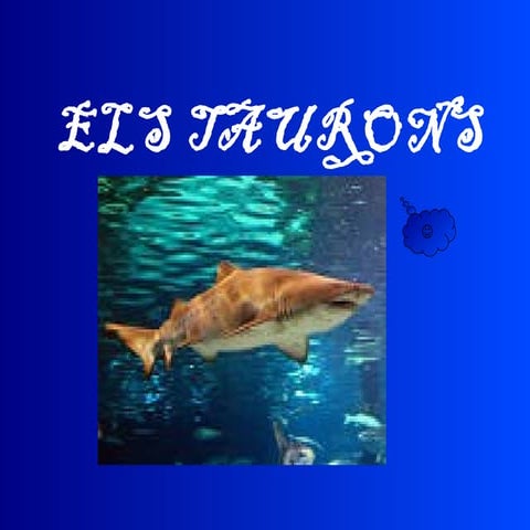 Els taurons | PPT