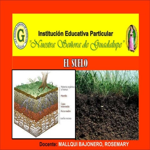 El suelo | PPT